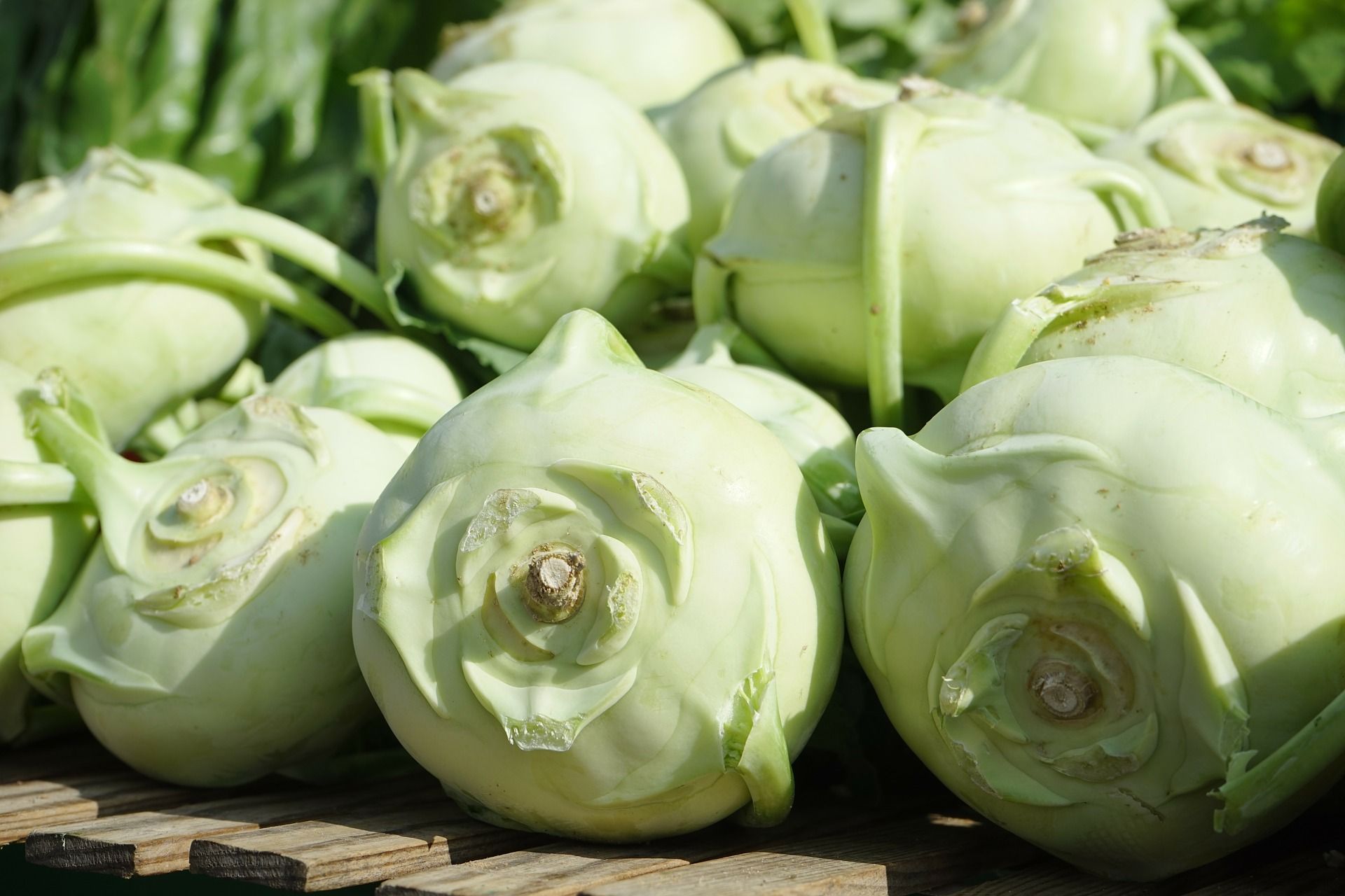 Koolrabi in de oven | Wit-Gele Kruis